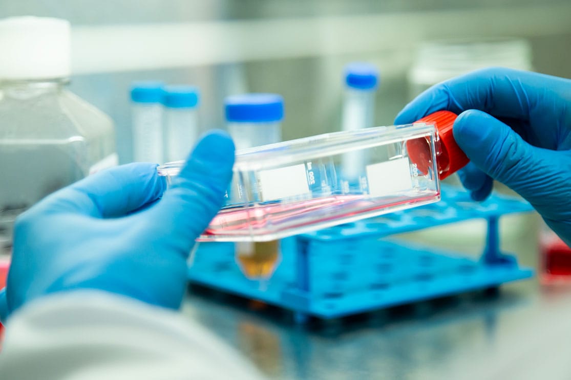 Cell Culture & Research Applications - Genexis Biotech | FBS ...